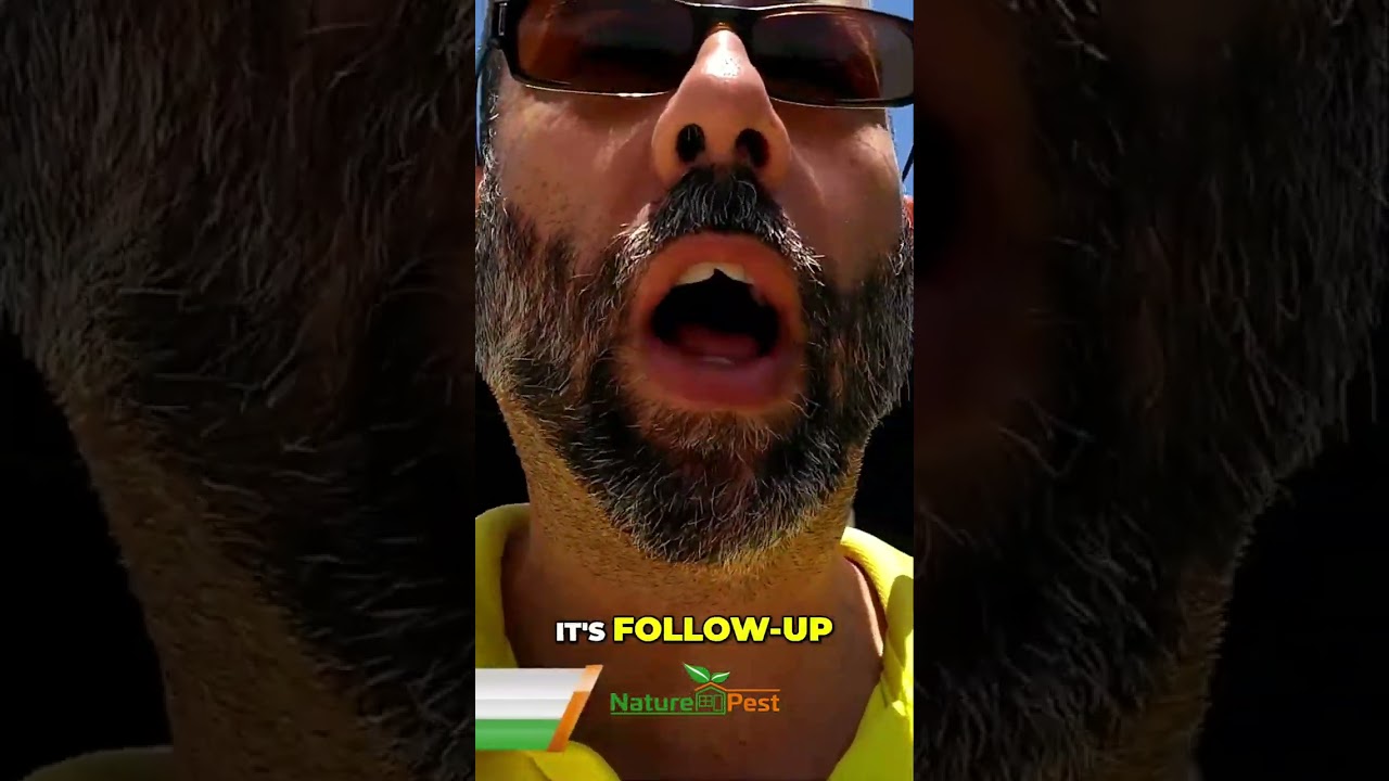 Lawn Care Secret: Follow Up For Luxury Lawns!