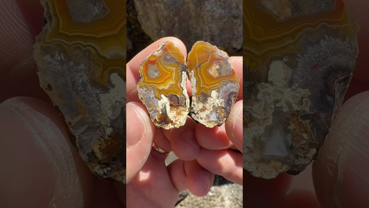 Another stunning small Laguna agate 🔥 Available on my Etsy page #lapidary #agate  #Lagunaagate
