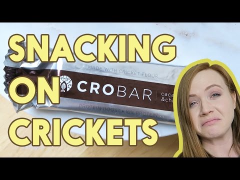 Cricket Flour Snack Taste Test! (Simon hates me now)