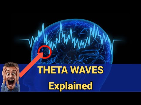 What is THETA WAVES? [3.5-7.5 Hz Brain Waves Explained in Details]