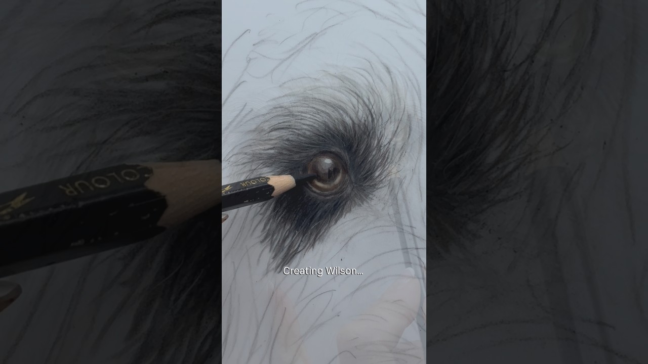 Creating Wilson | | watch him come to life | Pet Portrait | Coloured Pencils