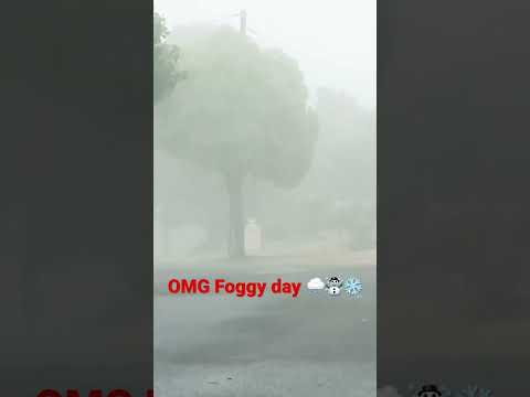 OMG foggy day || fog covered everything || #youtubeshorts #trending #viral #2023 🌁🌫🌁