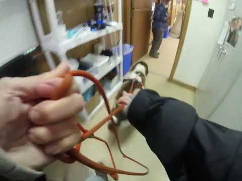 L2I, South Sterling, PA, 5/9/2025, health room search
