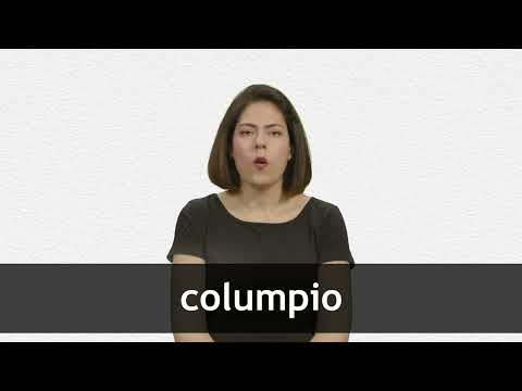 English Translation of “COLUMPIO” | Collins Spanish-English Dictionary