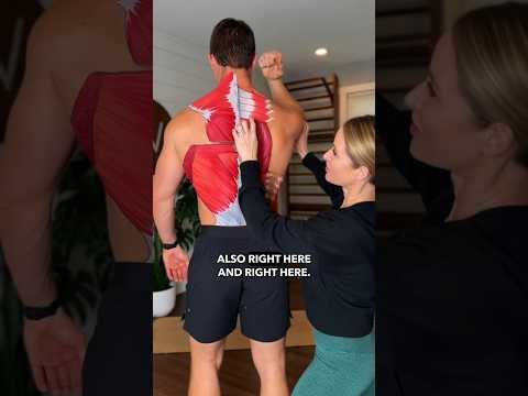 Back muscles: Anatomy of serratus #shorts
