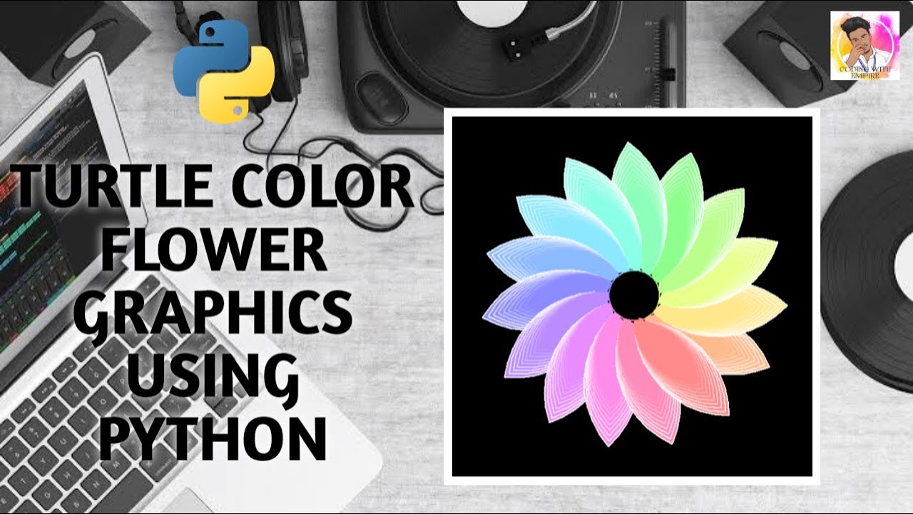 Color flower using python turtle| python graphics| python