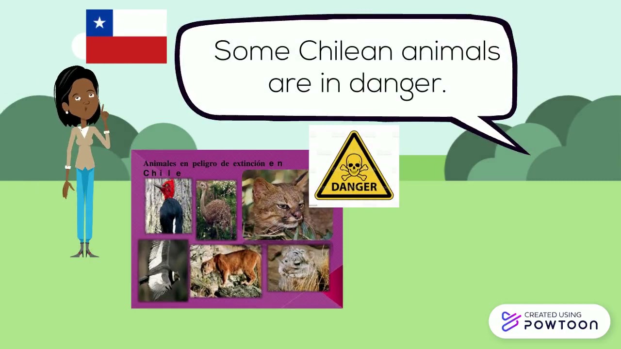 endangered species in chile