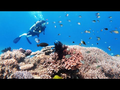 Qld tourism campaign urging Australians to travel domestically