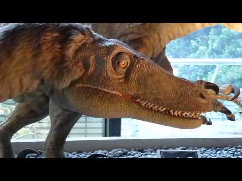 Robotic dinosaurs at the National Museum of the natural sciences in Taichung