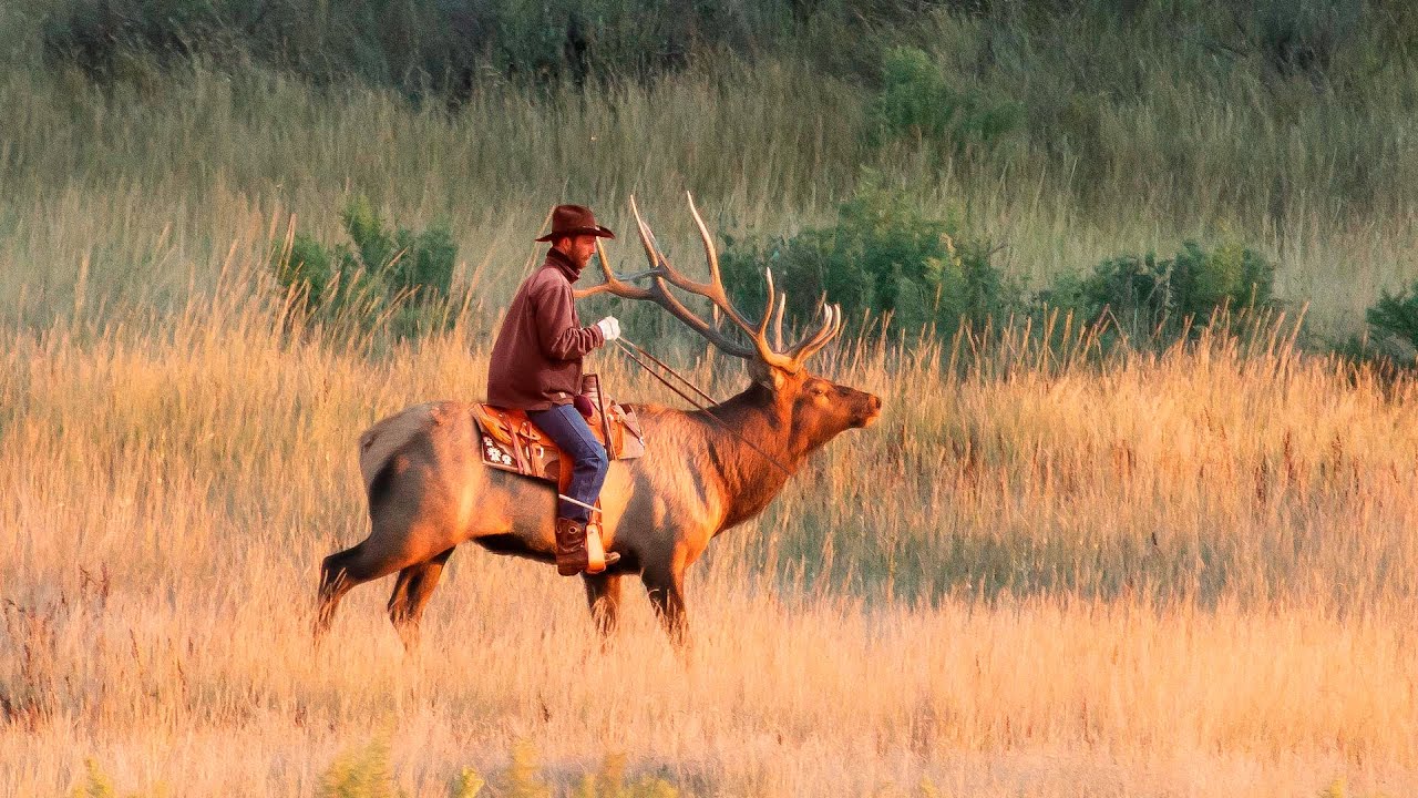 Paul Riding Elk