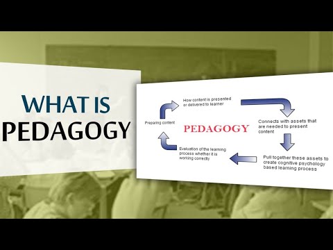 What is Pedagogy: Early Childhood Pedagogy Positioning and Empowerment