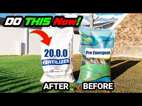 What’s the BEST Spring Fertilizer? Don’t Get This Wrong! 🌿