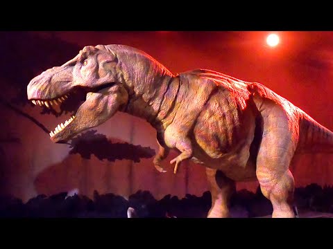 Natural History Museum Walking Tour (Dinosaurs & Main Hall)