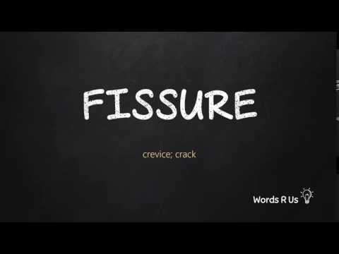 How to Pronounce FISSURE in American English