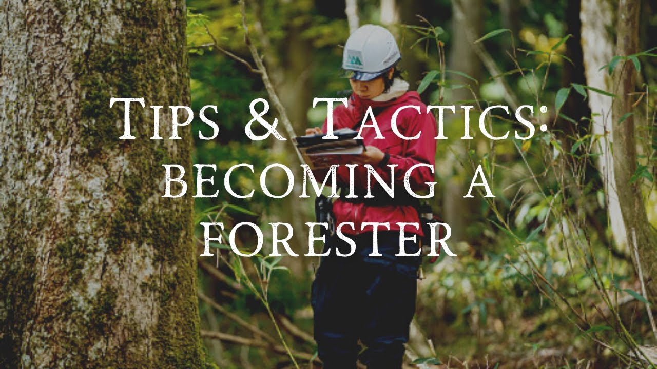 Tips & Tactics: Becoming a Forester