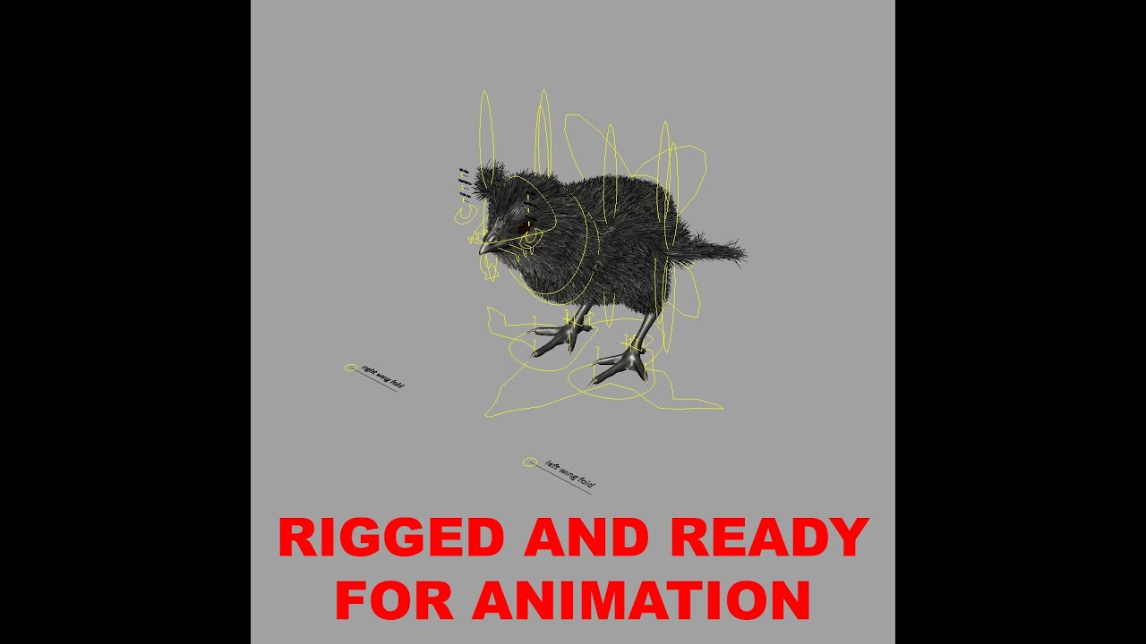 Black Chick Rig Preview Maya.