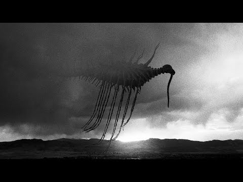 quiet apocalypse - a cosmic horror short film