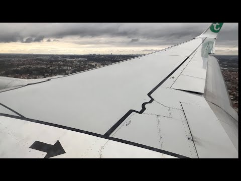 TRANSAVIA B737-800 LANDING AT PARIS ORLY 🛬