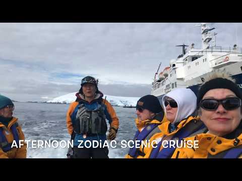 Penguin rookery on mountain - Useful Island and scenic zodiac cruise. Antarctica Expedition, Day 5!