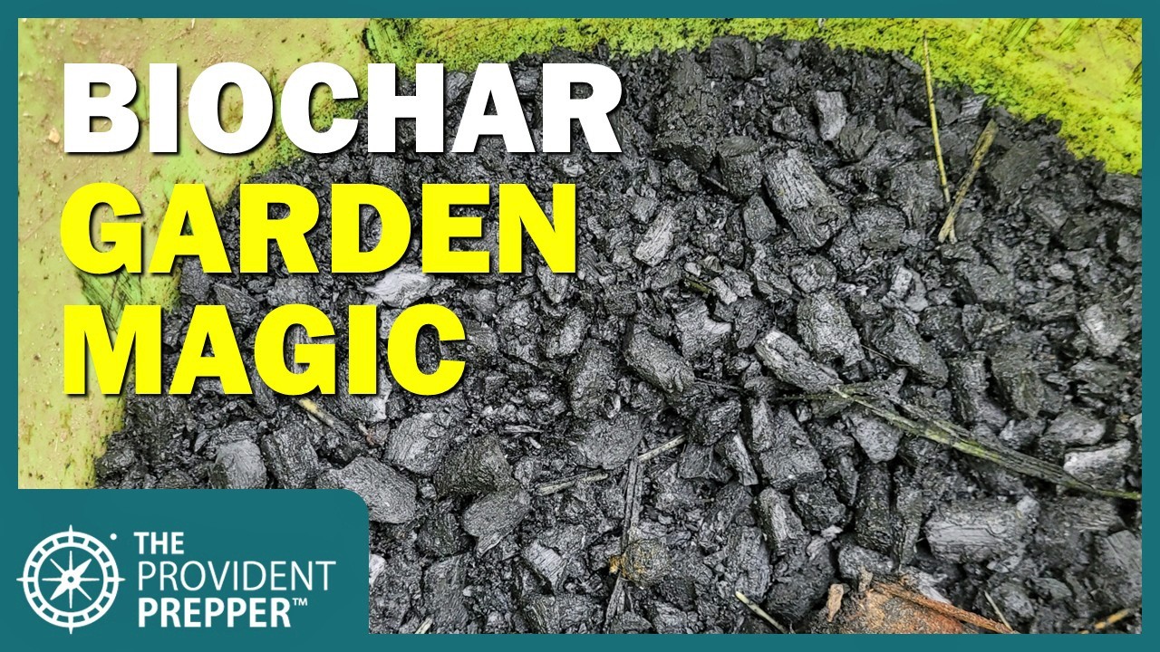 Biochar: Soil’s Ancient Secret Revealed!