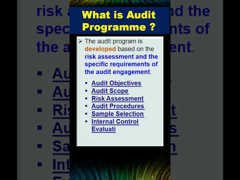 Audit Programme ? #shorts #short #ytshorts