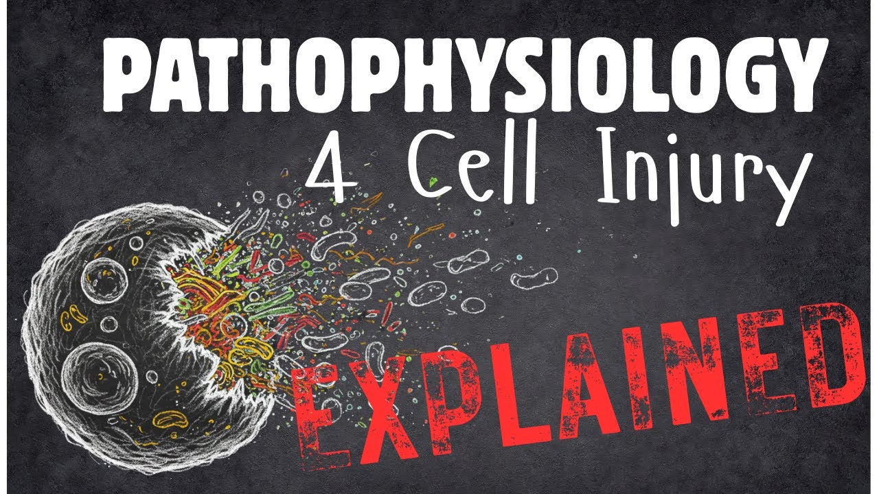 PATHOPHYSIOLOGY essentials EXPLAINED 4  cell injury