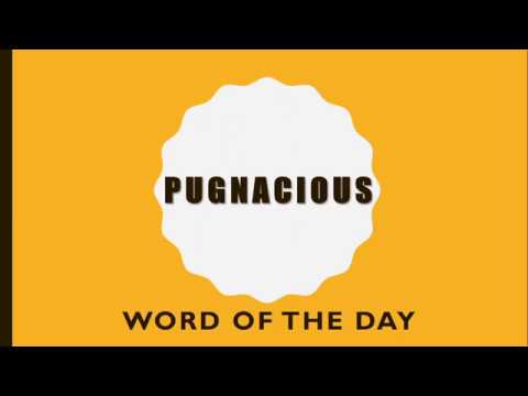 PUGNACIOUS