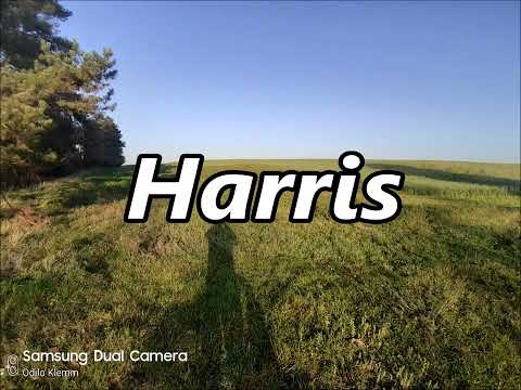HARRIS as a family name its meaning and origin