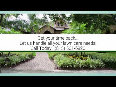 Lawn Care Plant City - (813) 501-6820 - Plant City Lawn Care