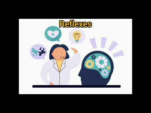 Reflexes 🐎. #reflexes #stimulus #response #education #biolife