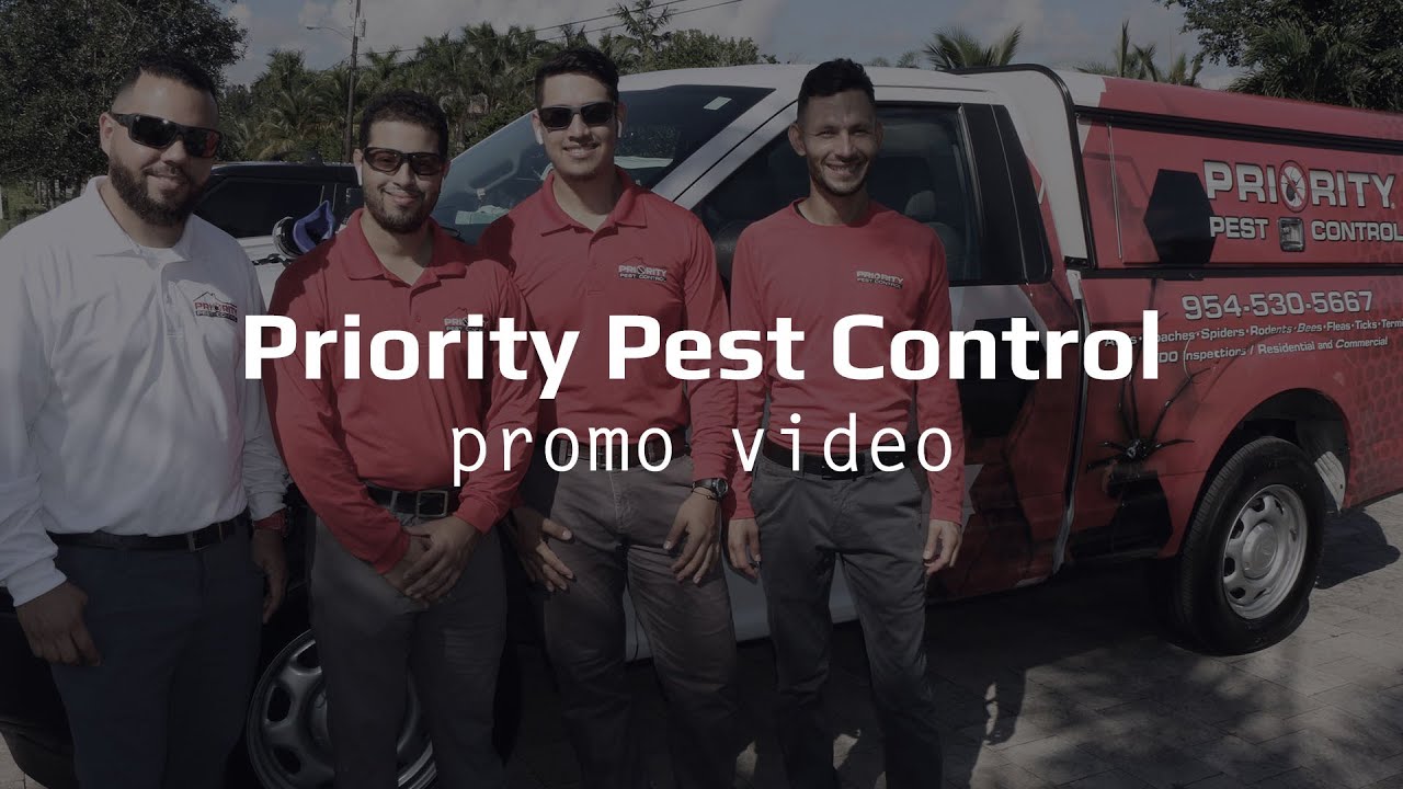 Priority Pest Control Scripted Profile Video