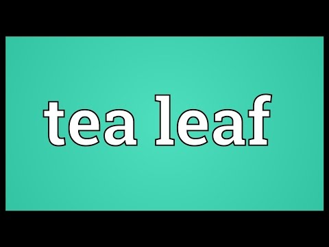 Tea leaf Meaning