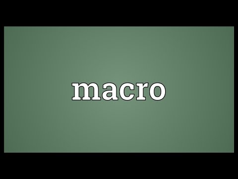 Macro Meaning