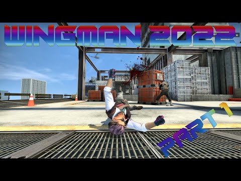 Steam Community :: Video :: Wingman 2022 Part 1