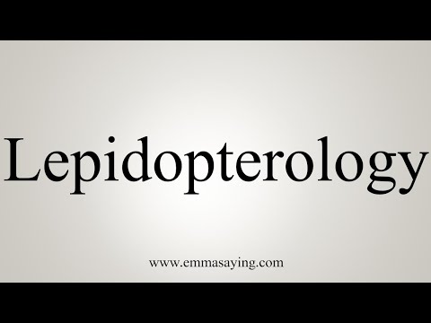 How To Say Lepidopterology