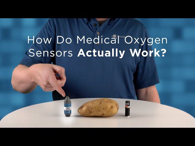 Ventilator Oxygen Sensor - Envitec Oxygen Sensor Oom202 Manufacturer ...