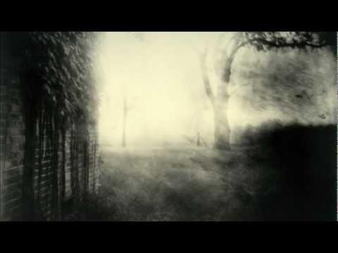 Sally Mann - Deep South - Photography