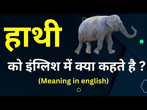 हाथी को इंग्लिश मे क्या कहते हैं || Hathi ka english meaning || word meaning in english