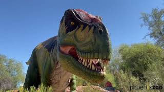 Dinosaurs in the Desert Social Story