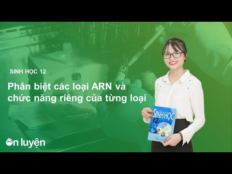 Phân biệt các loại ARN và chức năng riêng của từng loại – Ôn luyện ...