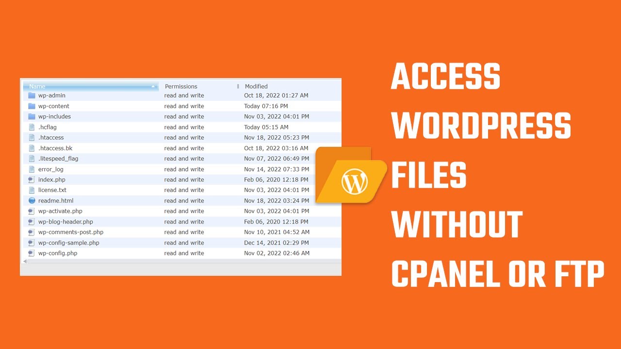 File Manager: Access all WordPress files without cPanel or FTP? | #Shorts