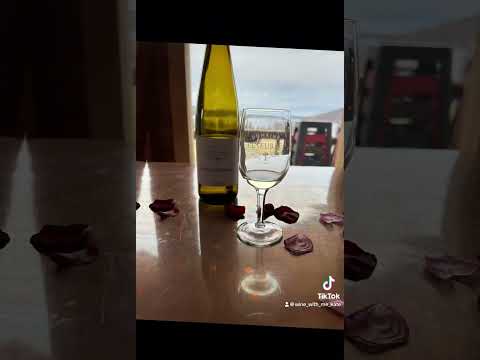 Favorite Wineries: Seneca Edition