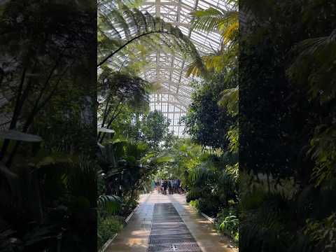 KEW Gardens - Royal Botanical Gardens, London. #londonengland #travel #pink