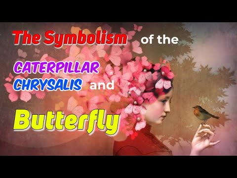 The Symbolism of the Caterpillar, Chrysalis and Butterfly