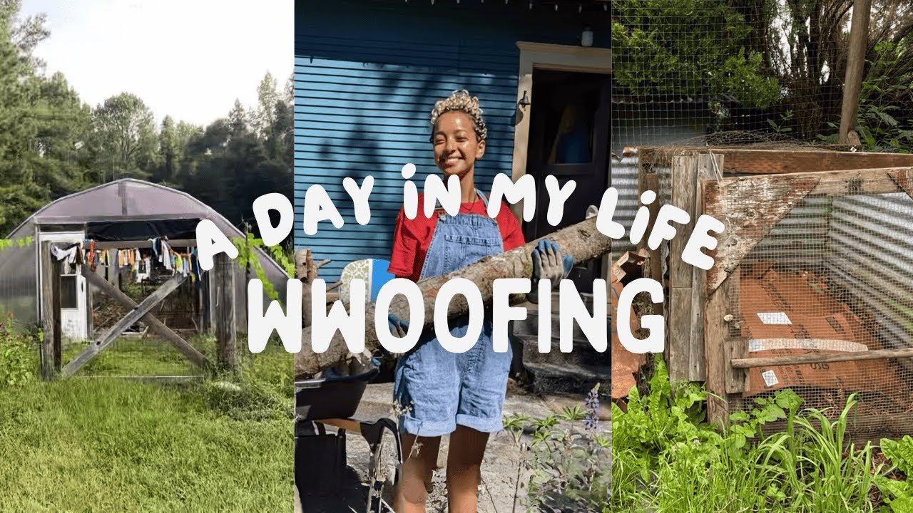 Congrats to the Video Contest Winners! | WWOOF USA