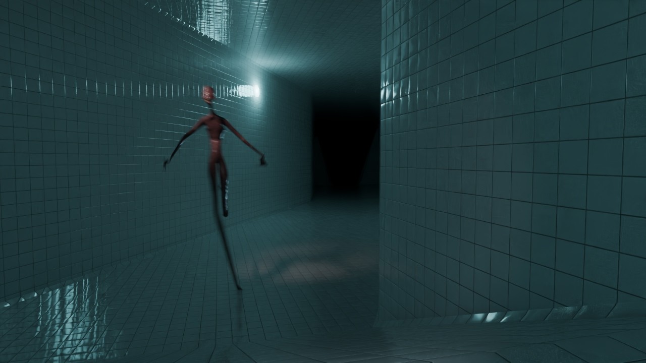 The Backrooms  - Liminal (found footage)