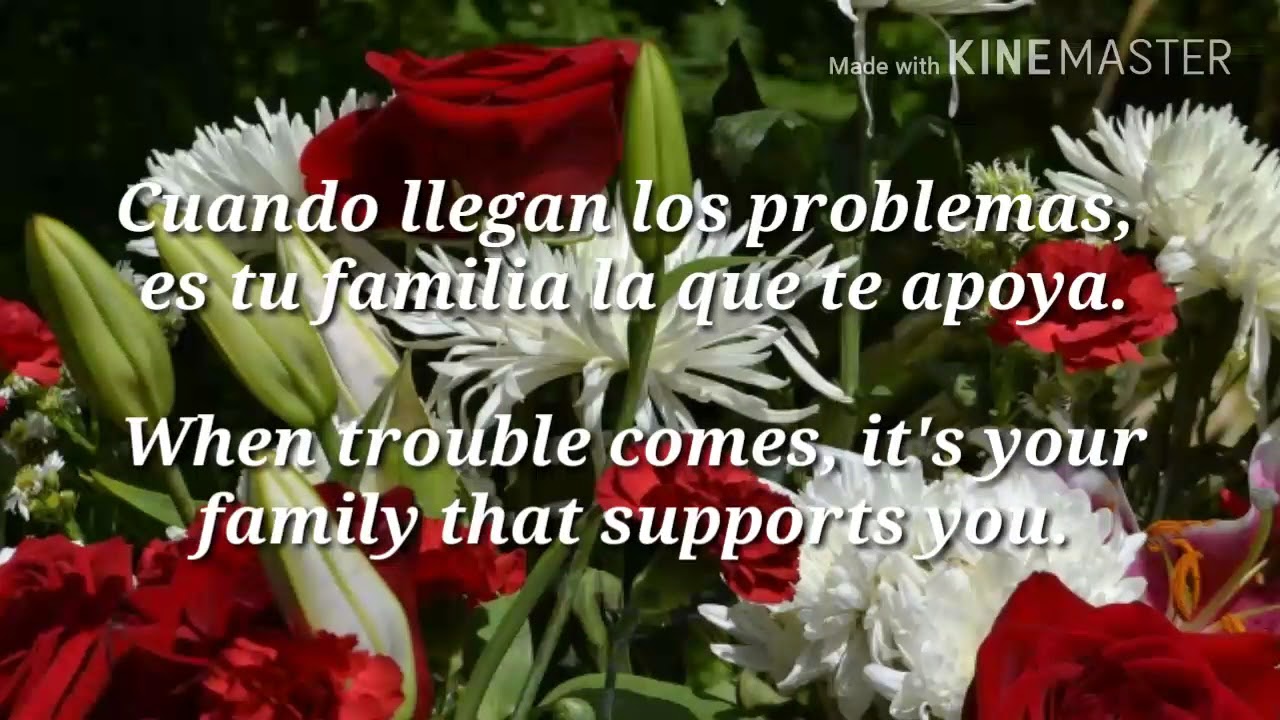 Inspiring Spanish quotes about family