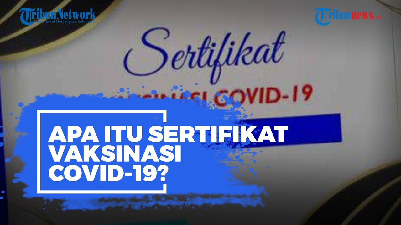 Apa Itu Sertifikat Vaksinasi Covid-19? Ini Kegunaan hingga Imbauan untuk Tak Unggah ke Medsos