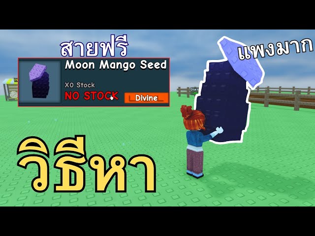 วิธีหา Moon Mango สายฟรี ( แพงมาก ) Grow a Garden | วิดีโอครีเอเตอร์ :: OS