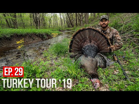 PENNSYLVANIA PUBLIC LAND GOBBLER!
